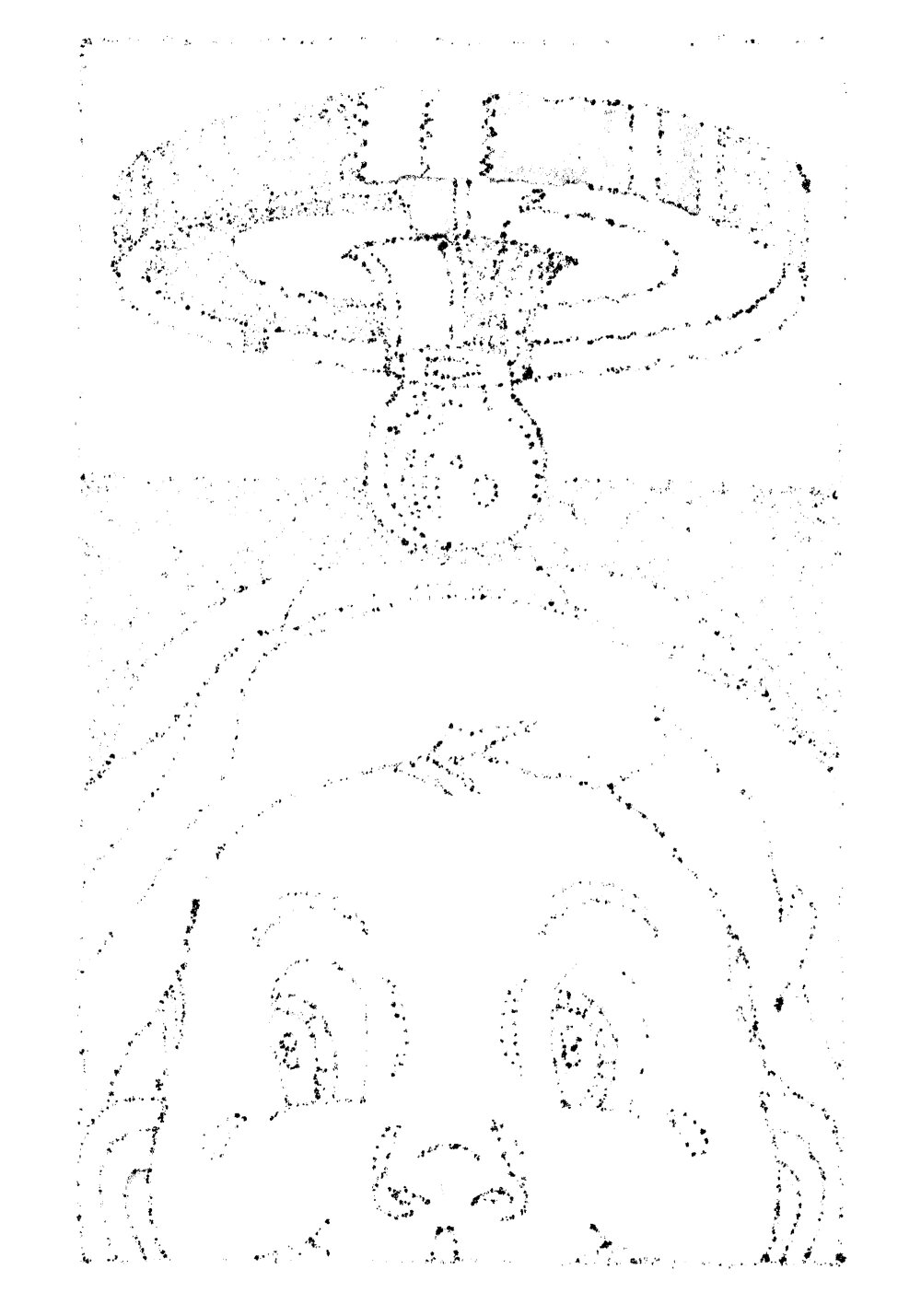 Nieves · Jim Stoten